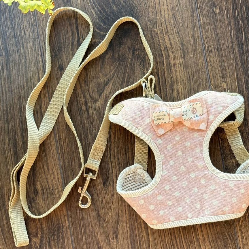 Поводок и шлейка для собак/ кошек