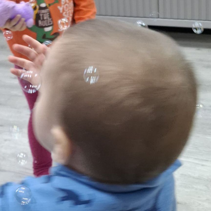 Пристрою двух живодеров в добрые руки