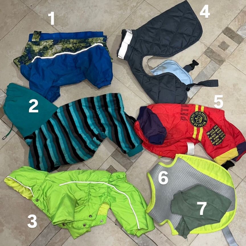 Одежда для маленьких собак