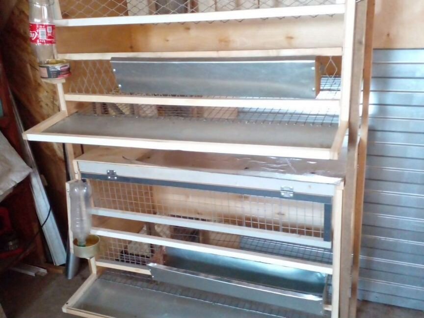 Клетки для кур