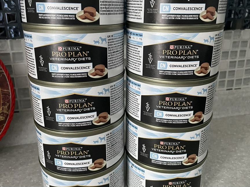 Корм для кошек