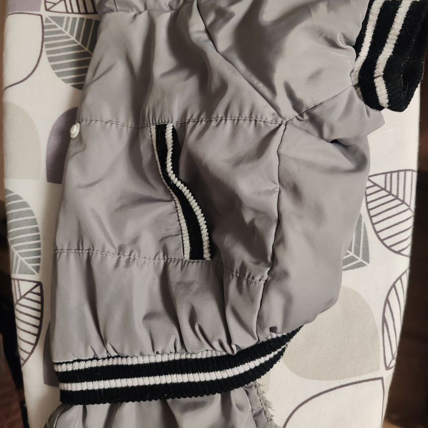 Зимняя одежда для собак