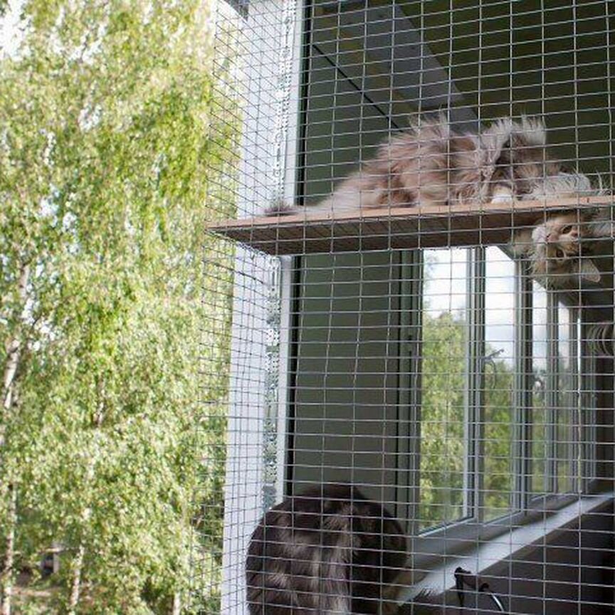 Вольер для кошек