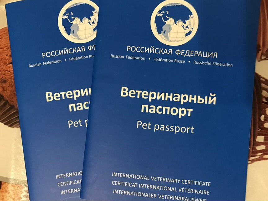 Ветеринарный паспорт новый