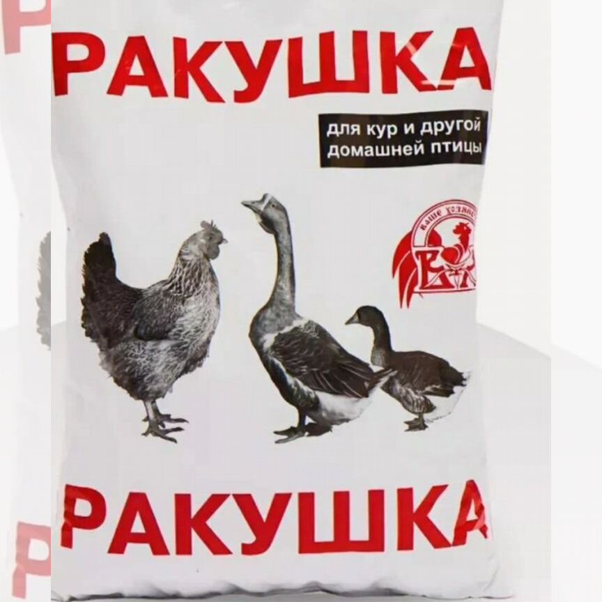 Ракушка для кур и другой птицы