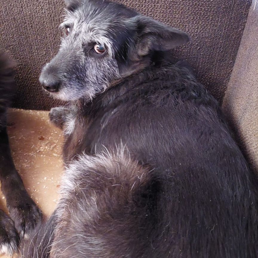 Больше нет доверия