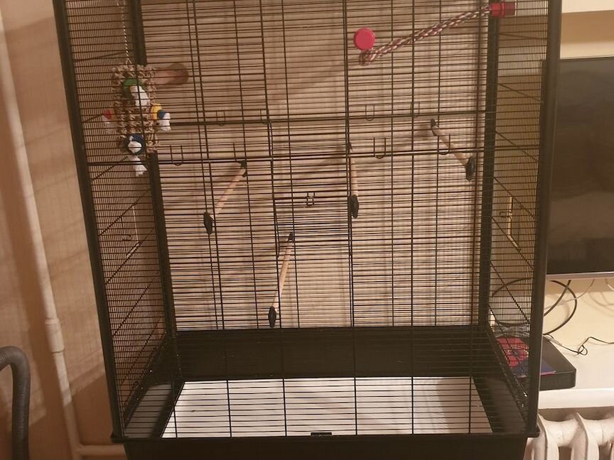 Клетка Savic Primo 60 Open Empire