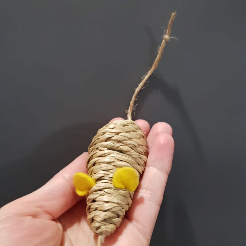 Дразнилка кошачья