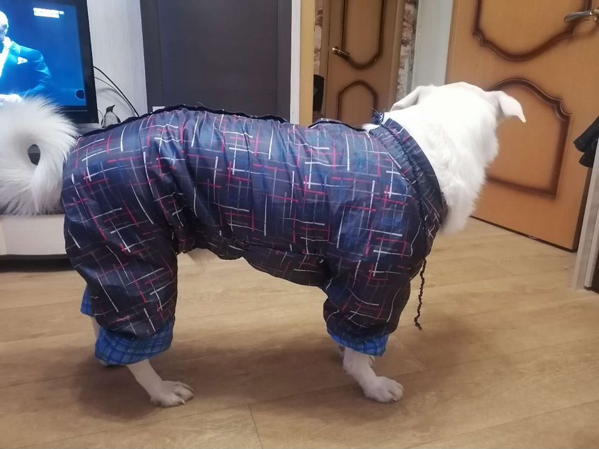 Зимний костюм