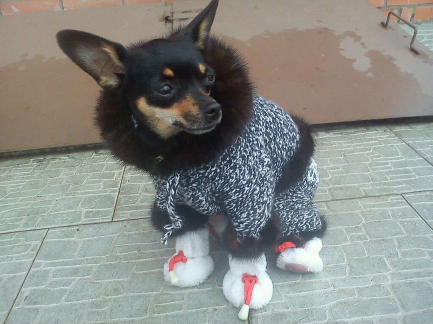 Комбез теплый