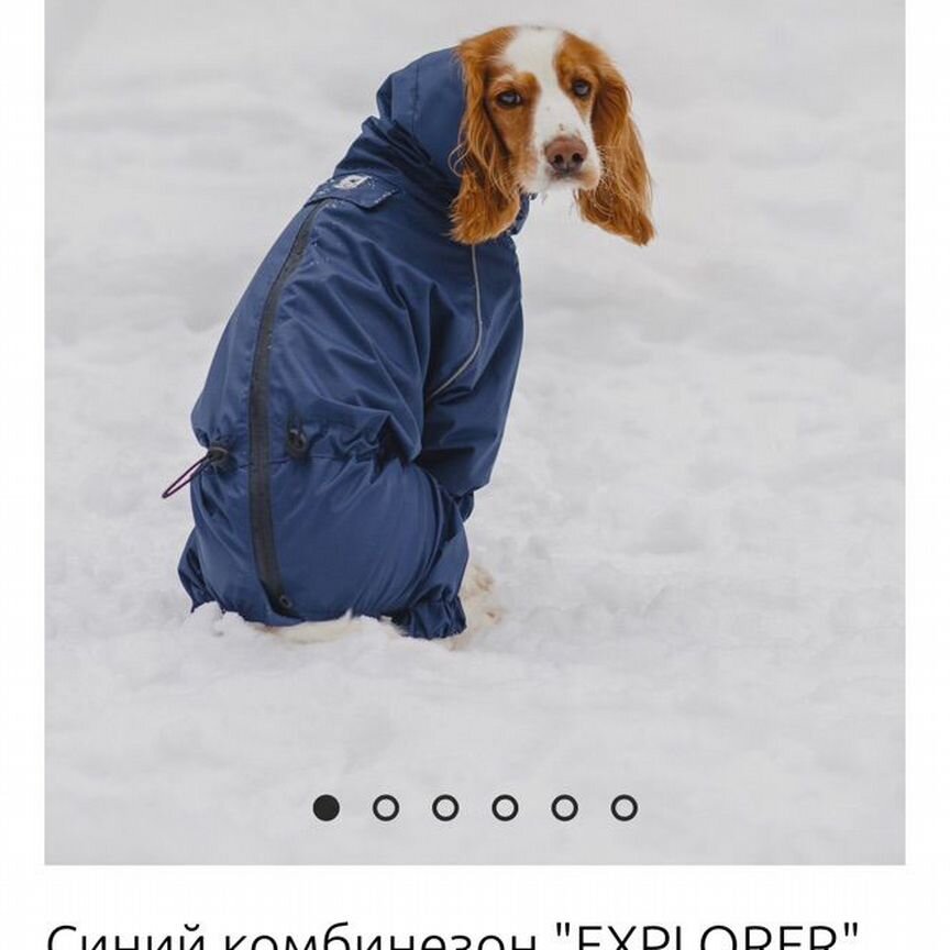 Зимний комбинезон для собак мелких пород