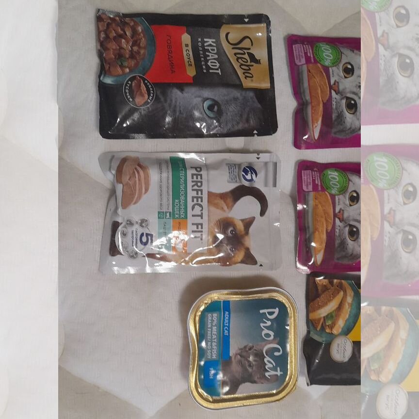 Еда для кошек