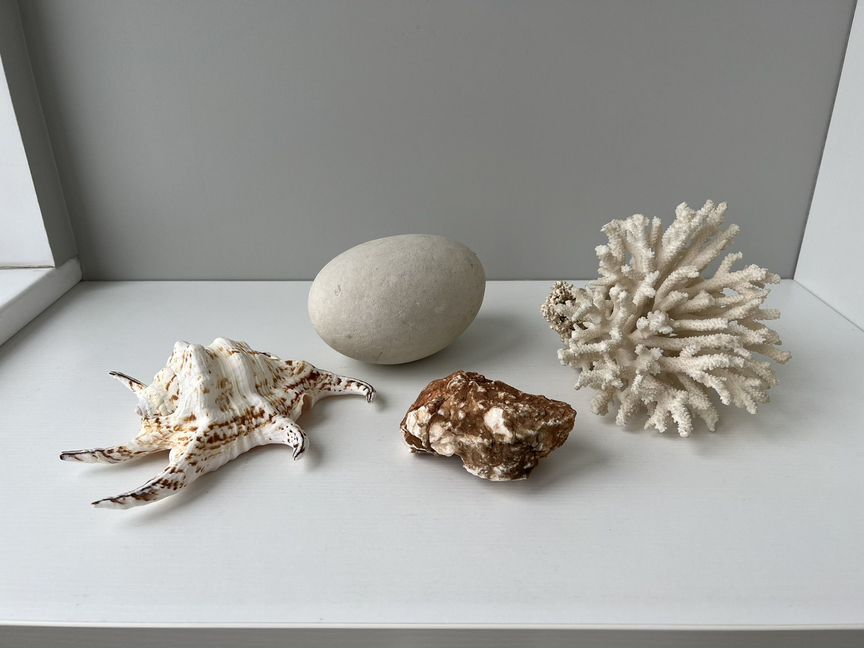 Коралл, ракушка, камни