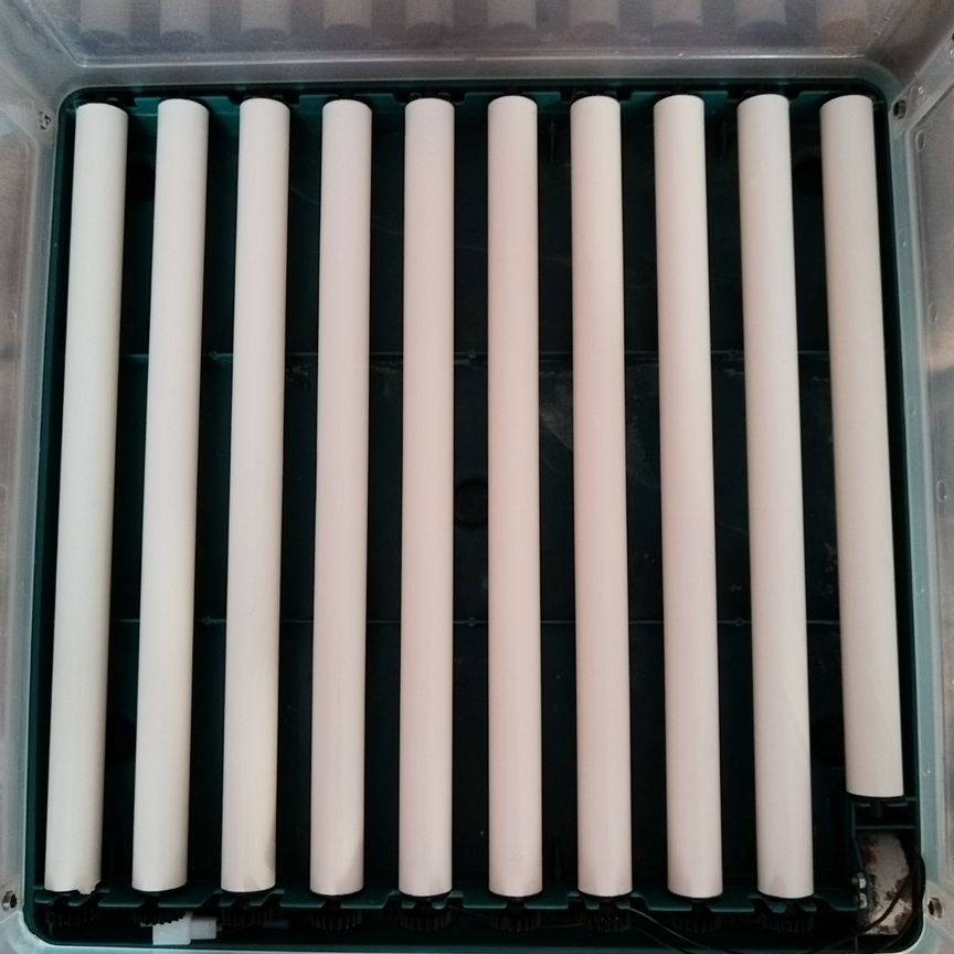 Инкубатор для яиц