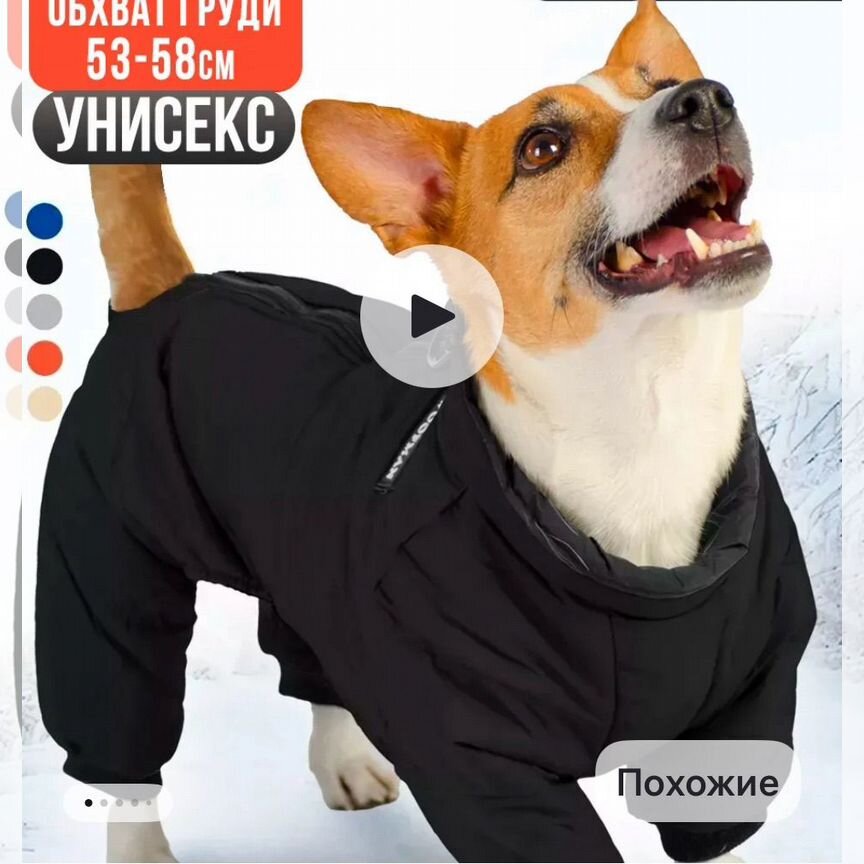 Одежда для собак средних