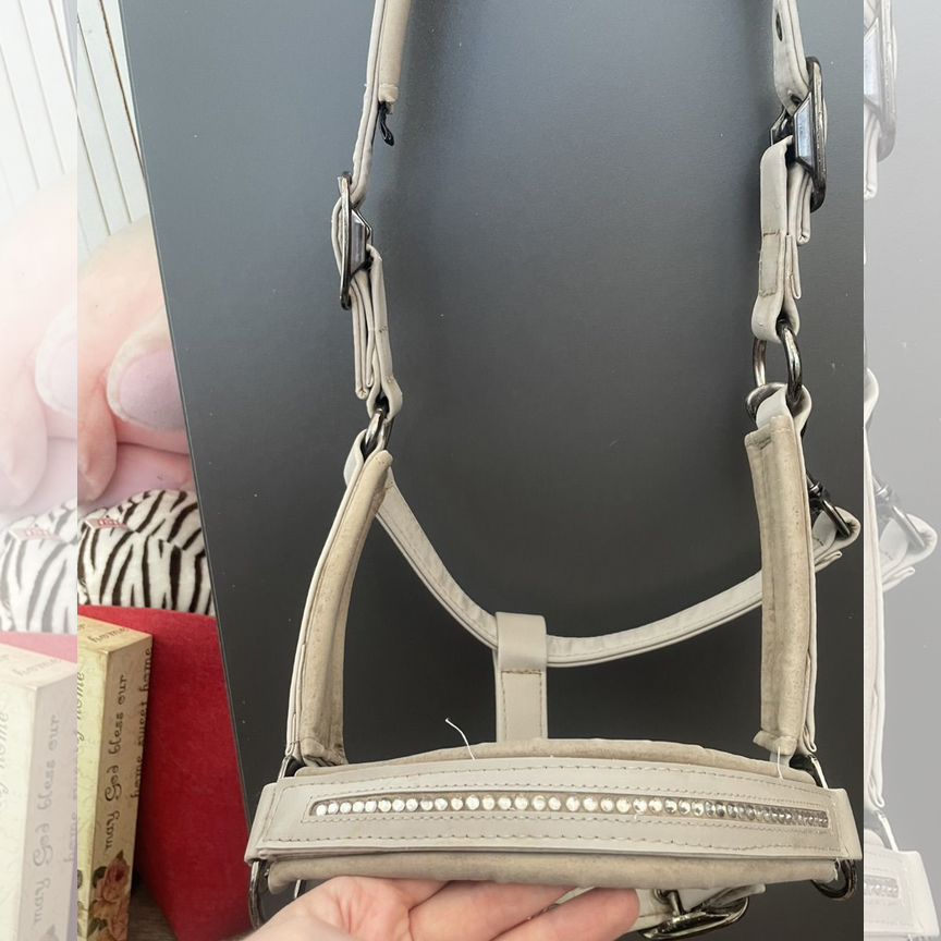 Недоуздок для лошади