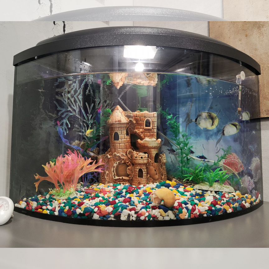 Аквариум угловой 60 литров