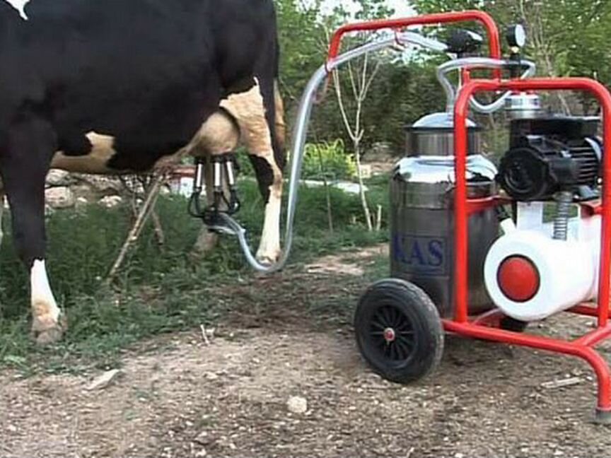 Доильный аппарат для коров бу