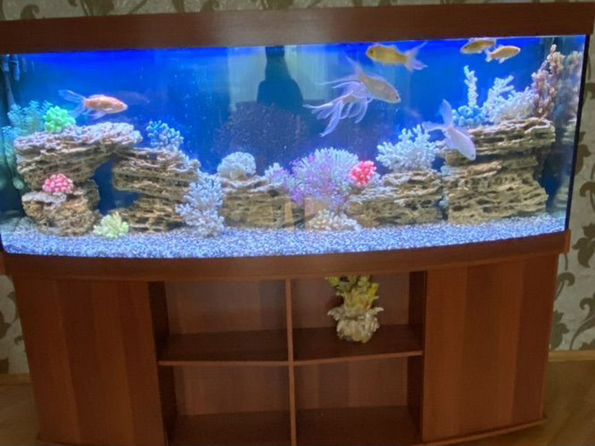 Аквариум с тумбой 900 литров