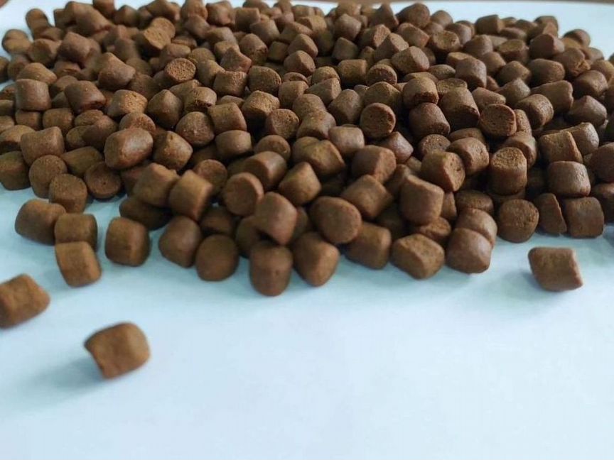 Корм для рыб садков, протоков