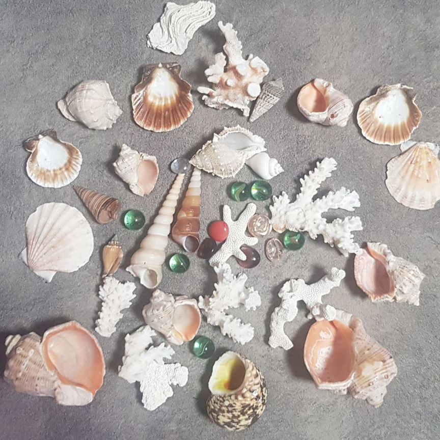 Ракушки для аквариума