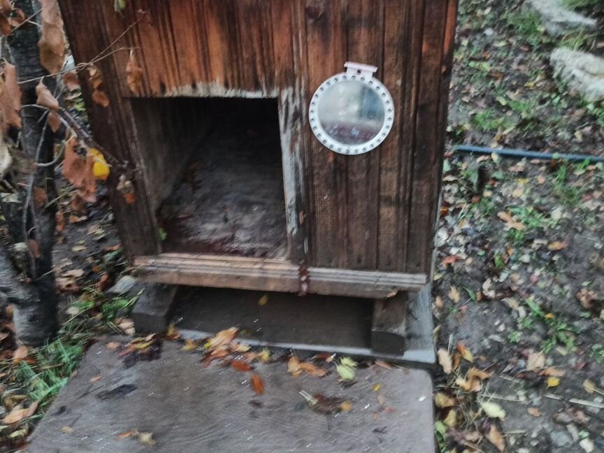 Собачья будка