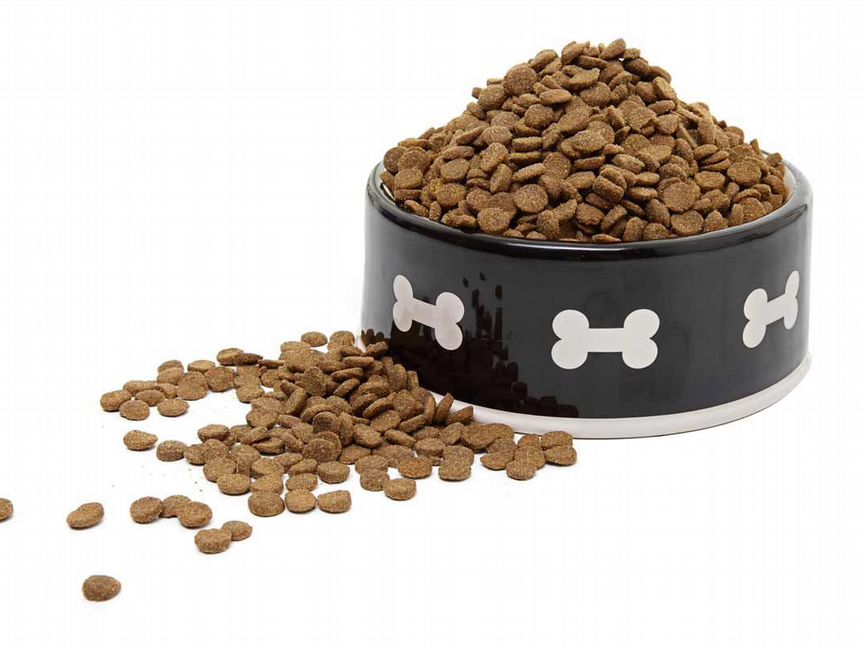 Корм для кошек и собак оптом