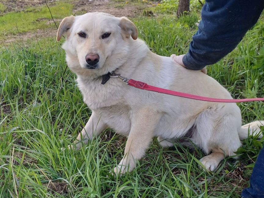 Просто красавец