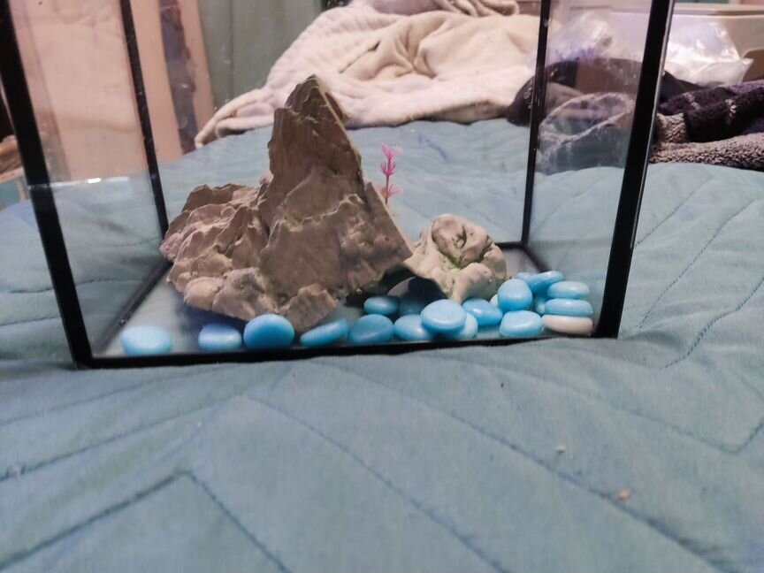 Аквариум 4,5 литра