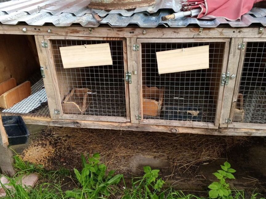 Клетка для кроликов