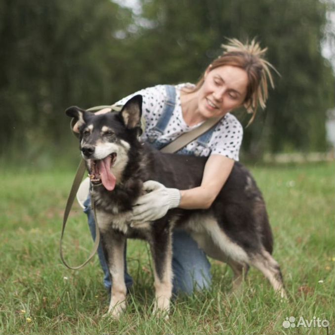 Джоник из приюта в добрые руки