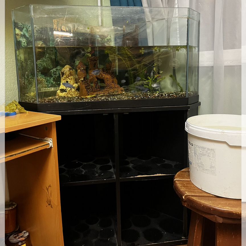 Аквариум с тумбой