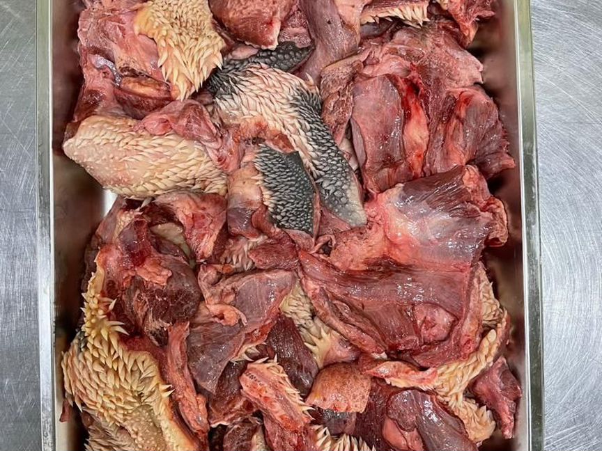 Обрезь мясо для собак
