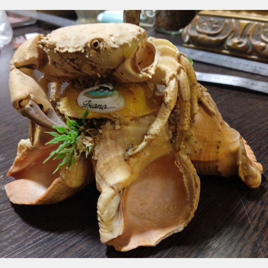 Украшения для аквариума