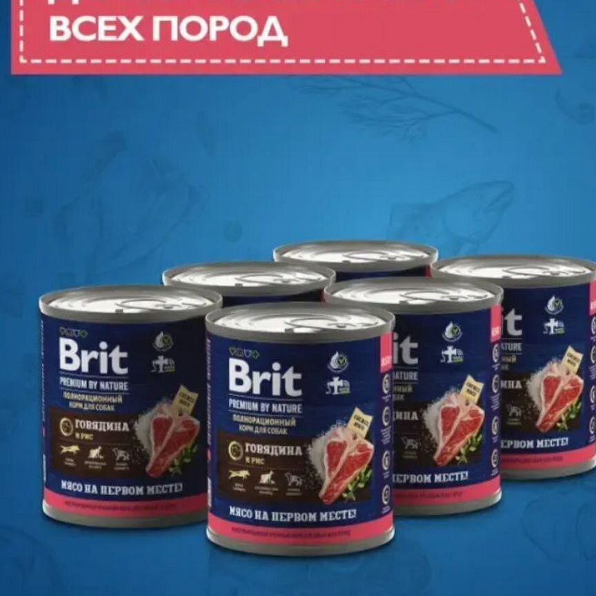 Корм для собак влажный Brit