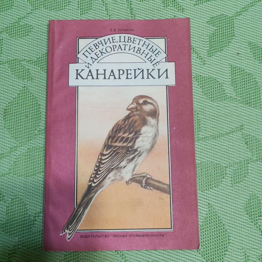 Певчие и декоративные канарейки