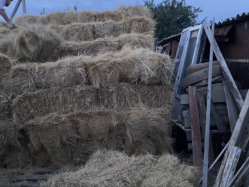 Сено степное в тюках