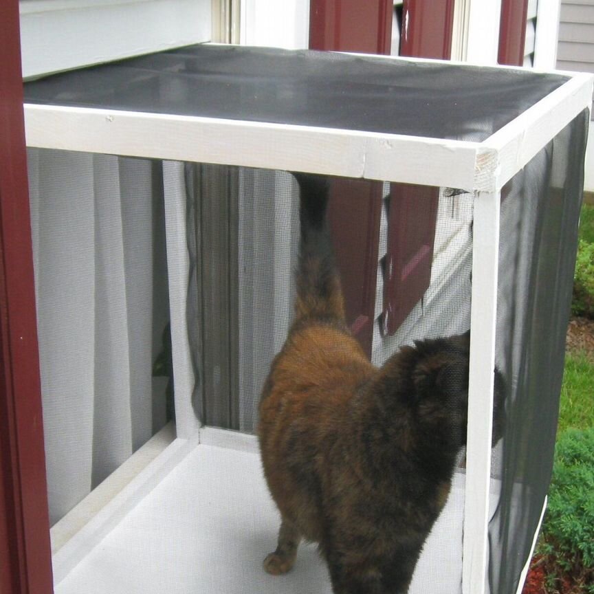 Вольер / выгул кошек и собак