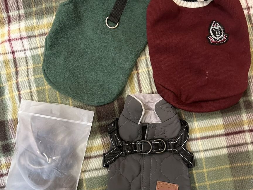 Одежда для собак мелких пород