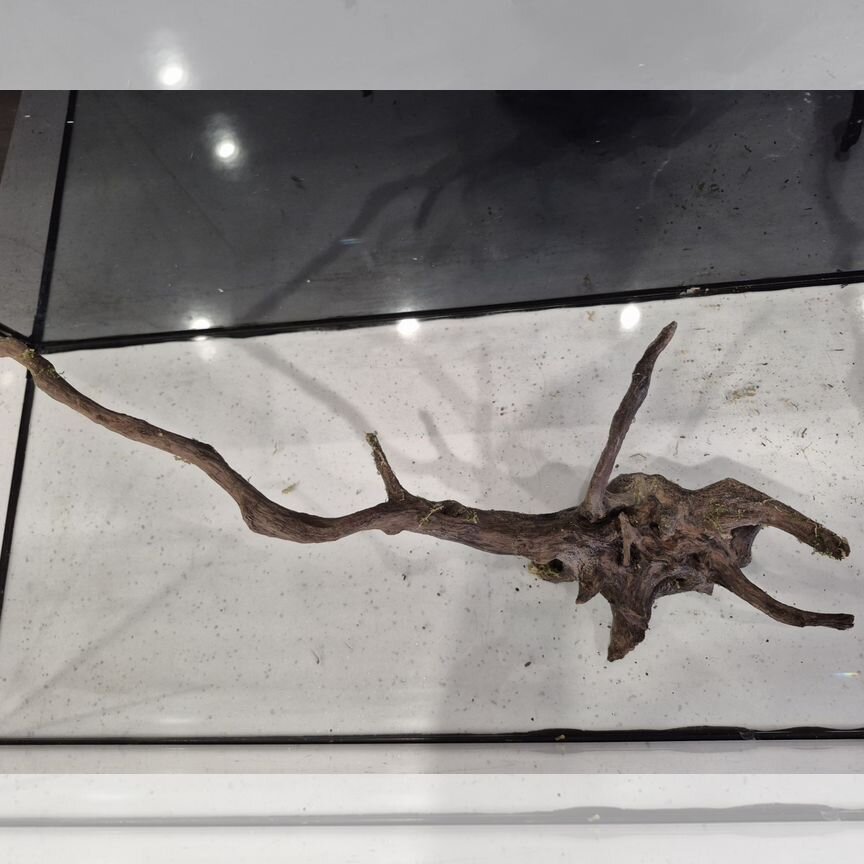 Коряга в аквариум