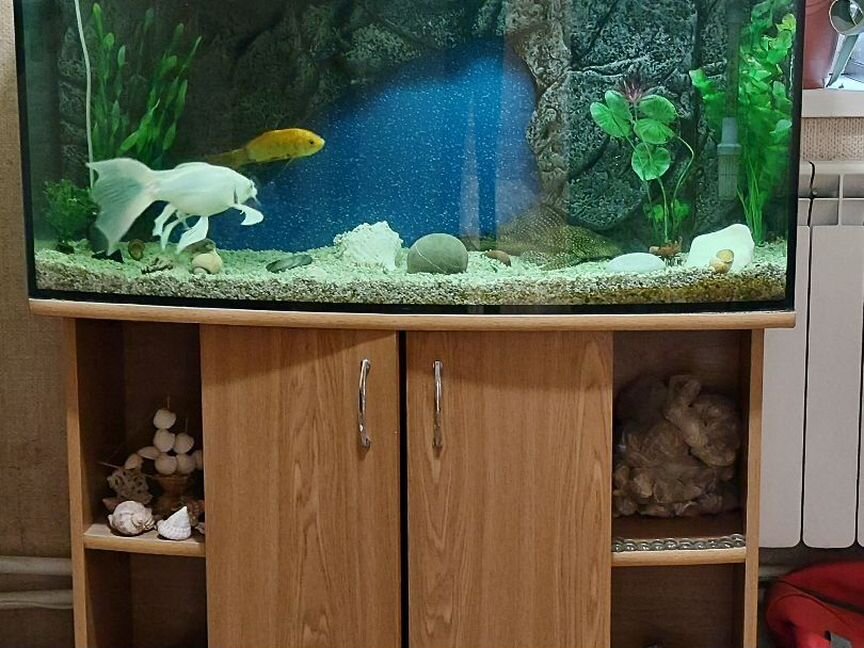 Аквариум 180л