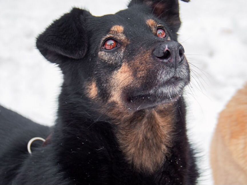 Каждый день ждет