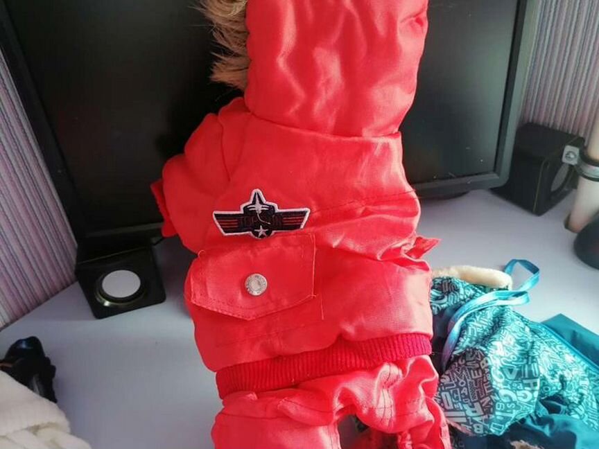 Одежда для маленьких собак