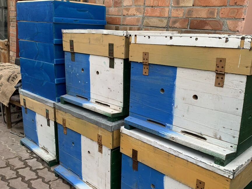 Ульи для пчел/лежаки