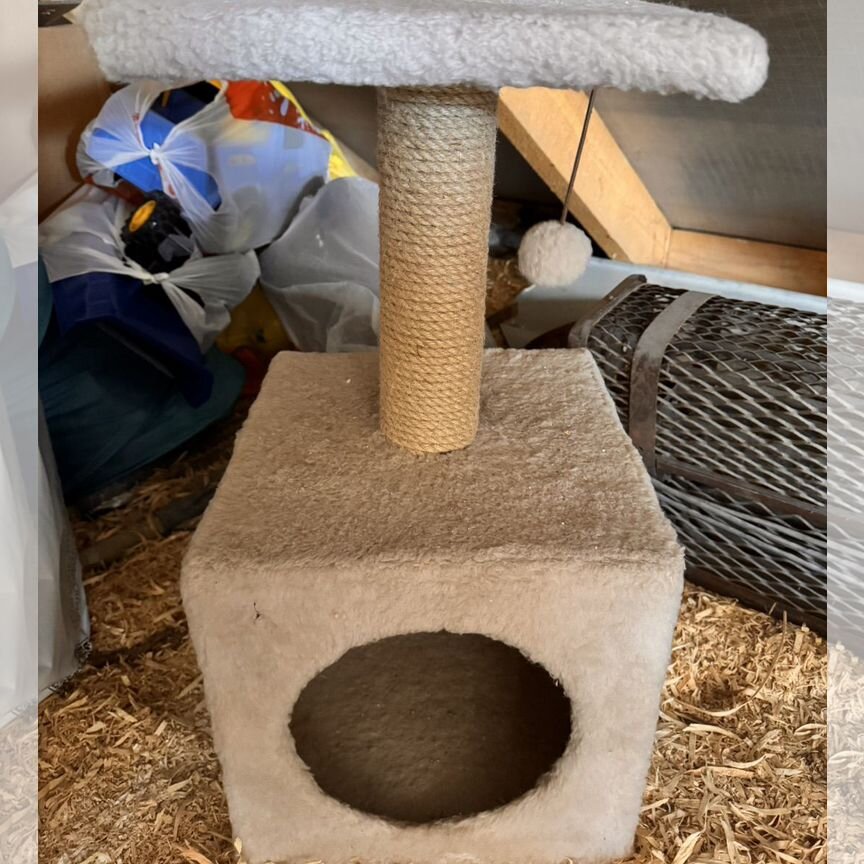 Домик когтеточка