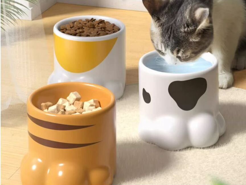 Керамическая миска для кошачьего корма