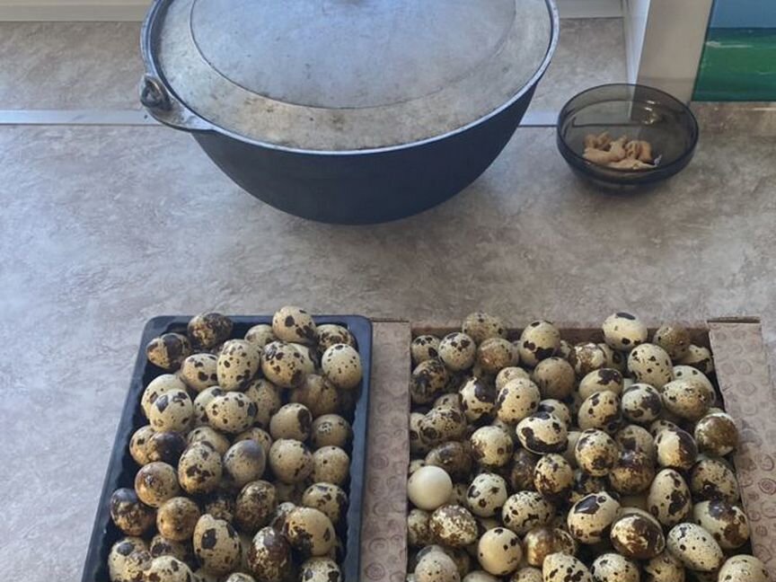 Яйцо перепелов