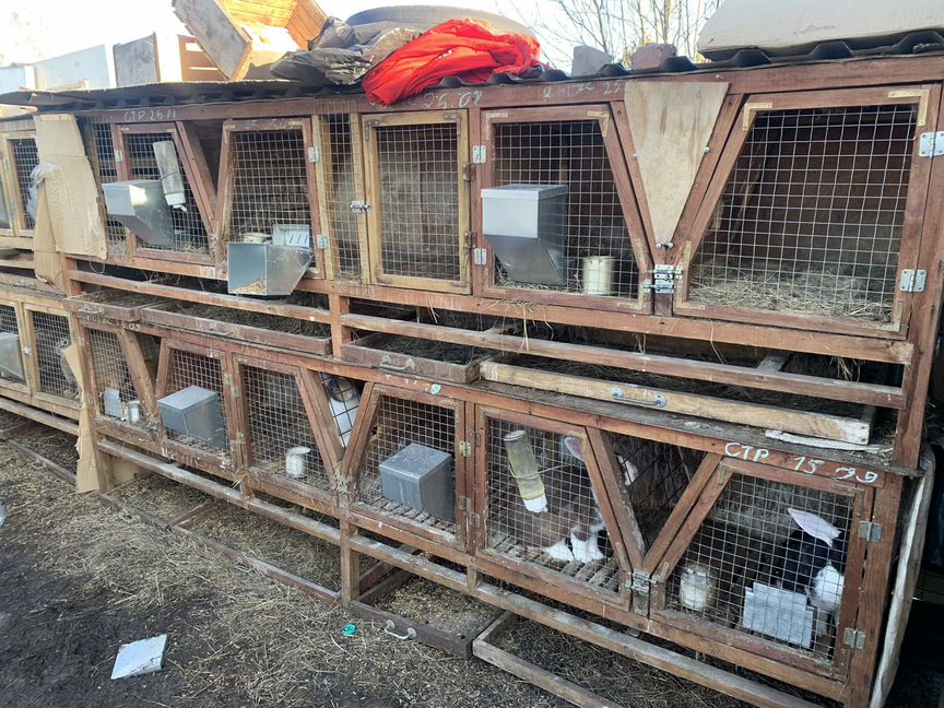 Клетки для кроликов