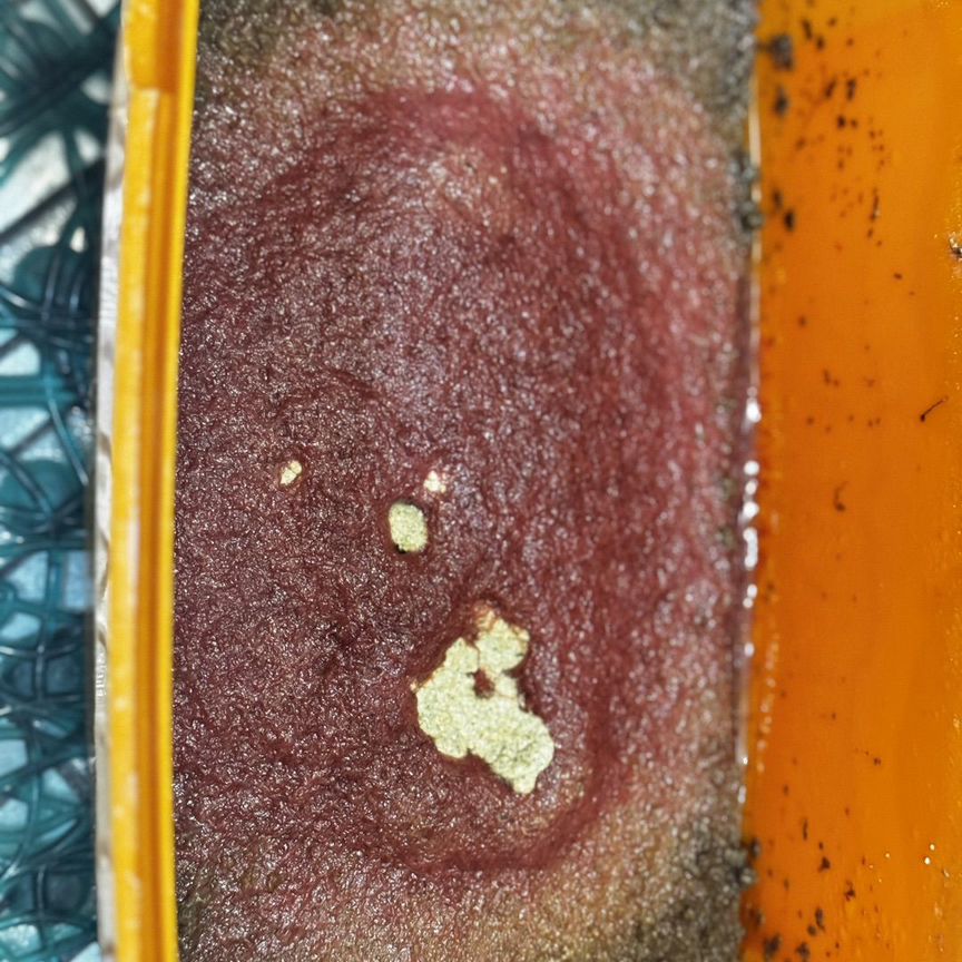 Трубочник Изя