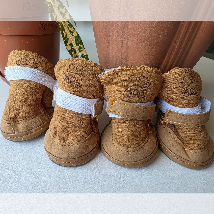 Обувь, ботинки для собак